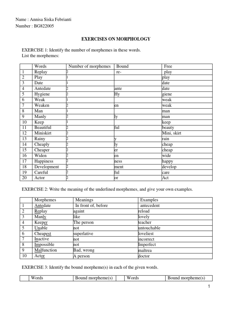 Exercise For Morphology | PDF