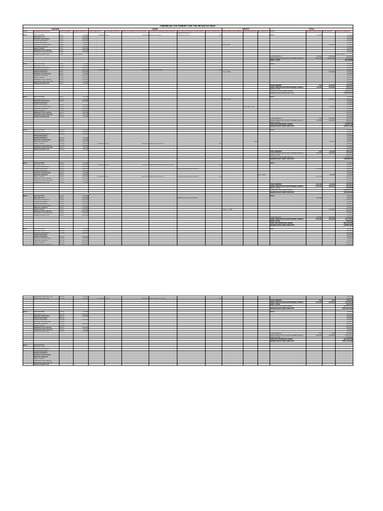 Sacco Financial Statement | PDF