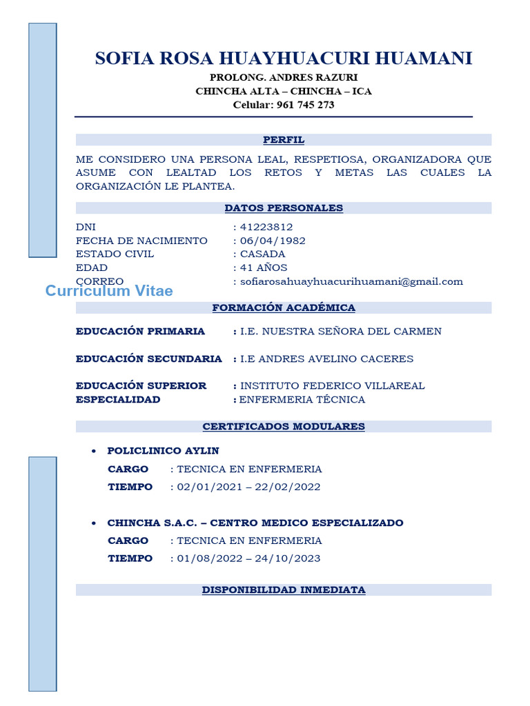 CV SOFIA ROSA HUAYHUACURI HUAMANI 2023 Solaela | PDF