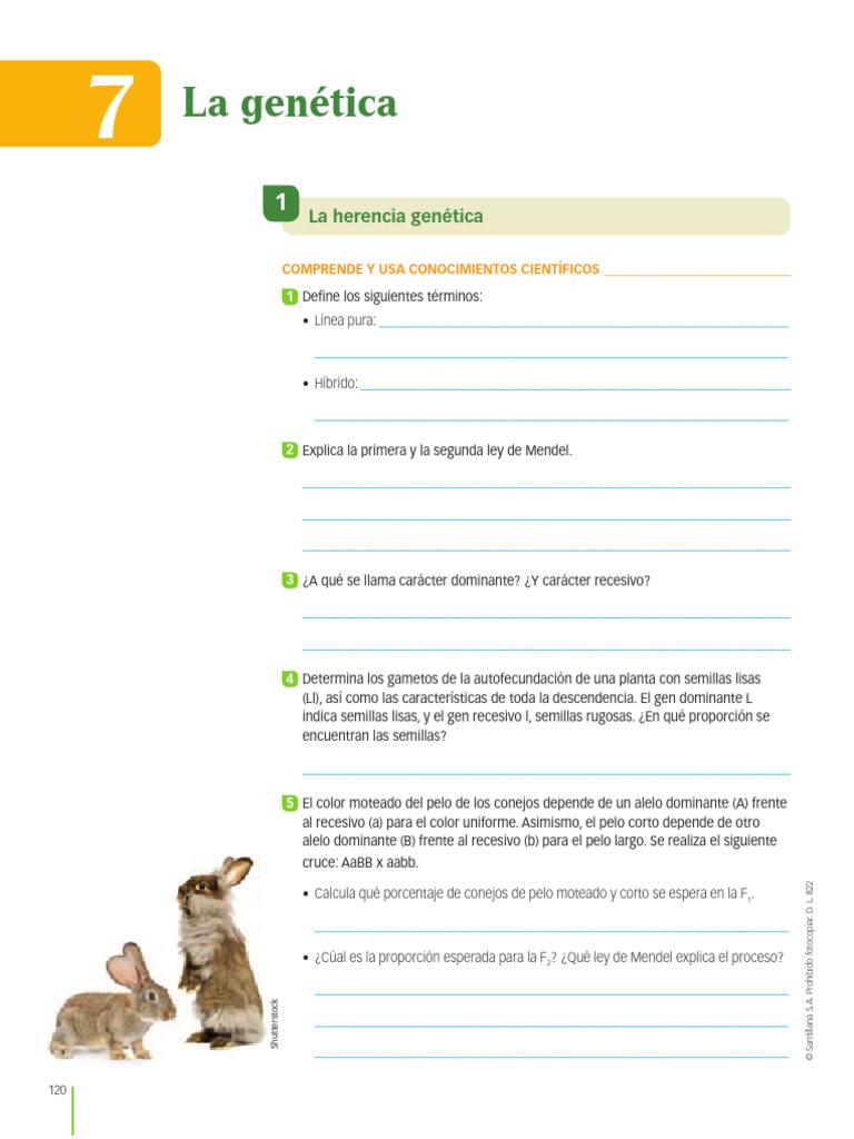 Ilovepdf Merged | PDF