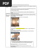 10 Clasificación de Las Hernias | PDF | Abdomen | Pelvis