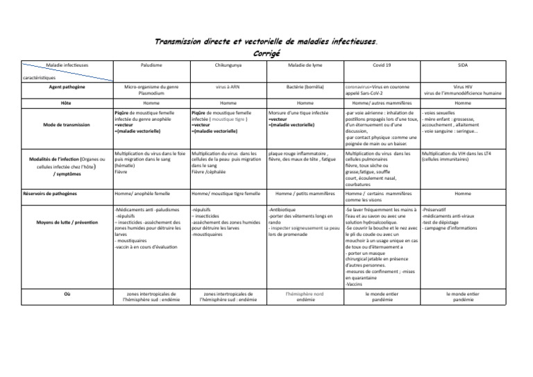 Corrigé TP Transmission Maladies | PDF