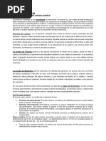 Pruebas de Galeazzi-Ellis y Signo de Adam | PDF | Salud y bienestar