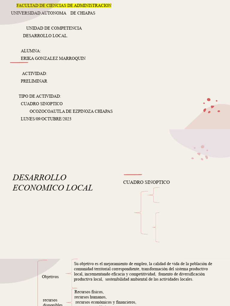 Sub3.a1.Desarrollo Local | PDF | Negocios