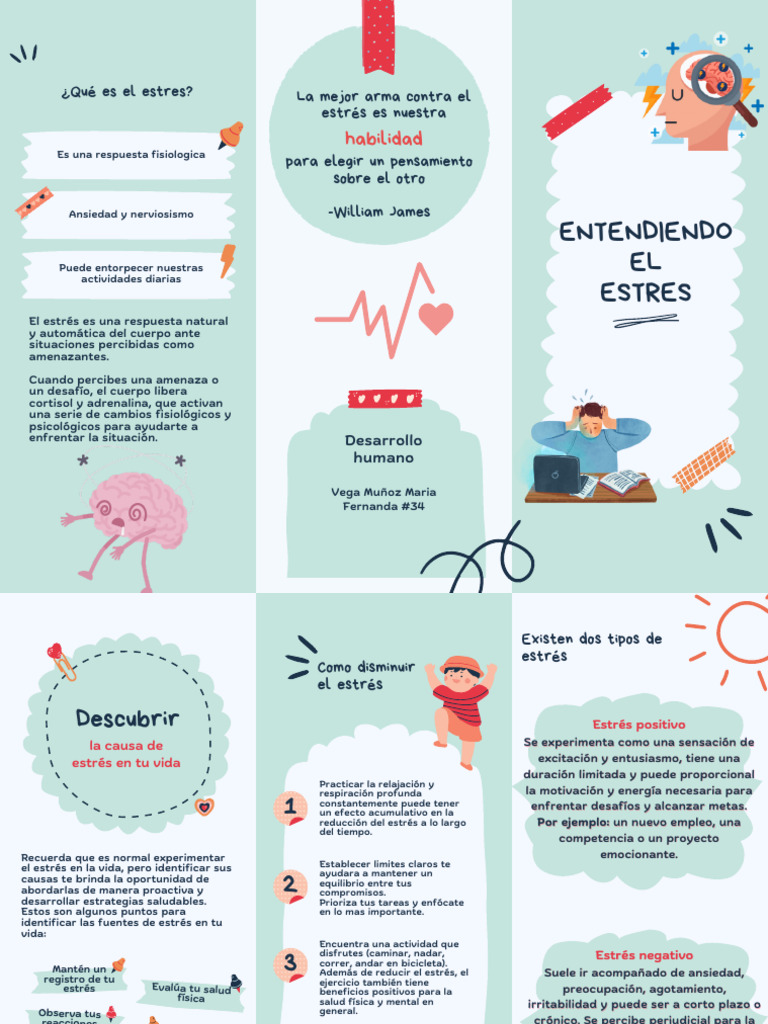 Folleto Estres | PDF | Estrés (biología) | Ansiedad