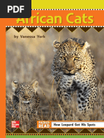 Adaptations of A Black Panther | PDF | Leopard | Cougar