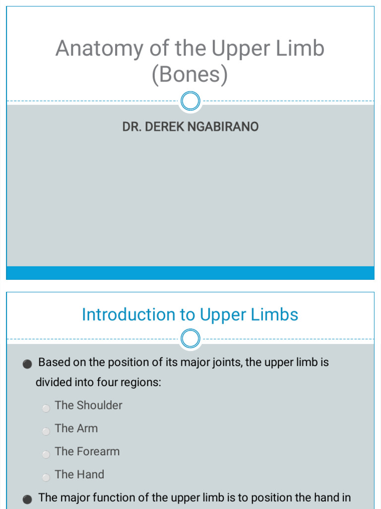 01 Bones of The Upper Limb by DR Derek Ngabirano | PDF | Human Anatomy ...