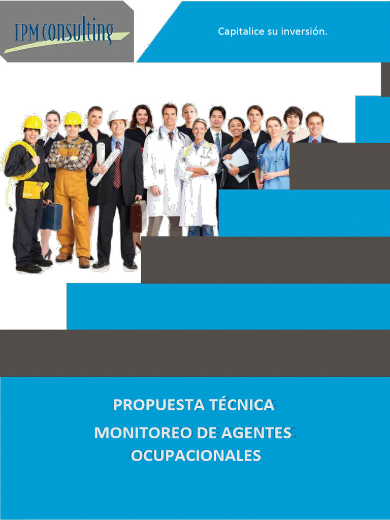Brochure Ipm Consulting | PDF | Tecnología