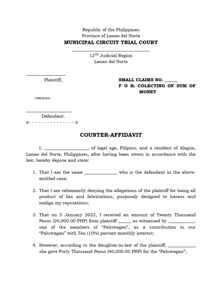 Counter - Affidavit - Small Claims | PDF