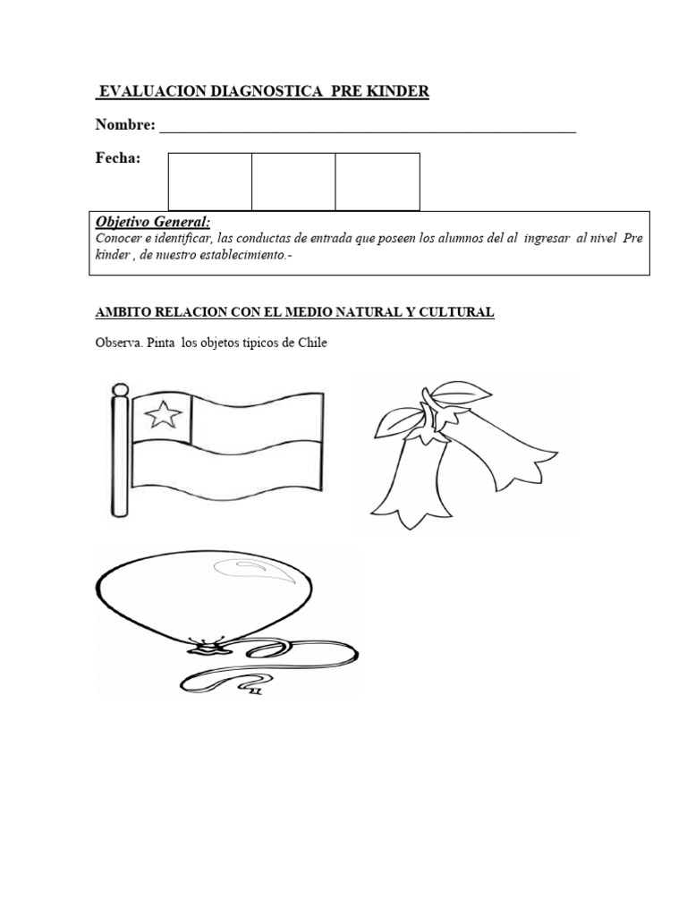 Evaluacion Diagnostica Pre Kinder 2018 | PDF