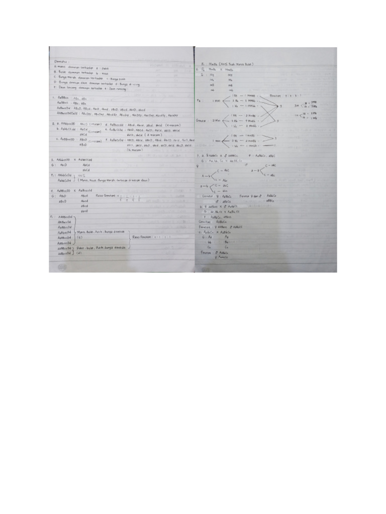 Hukum Mendel Tomi Wiranata A1c422080 | PDF