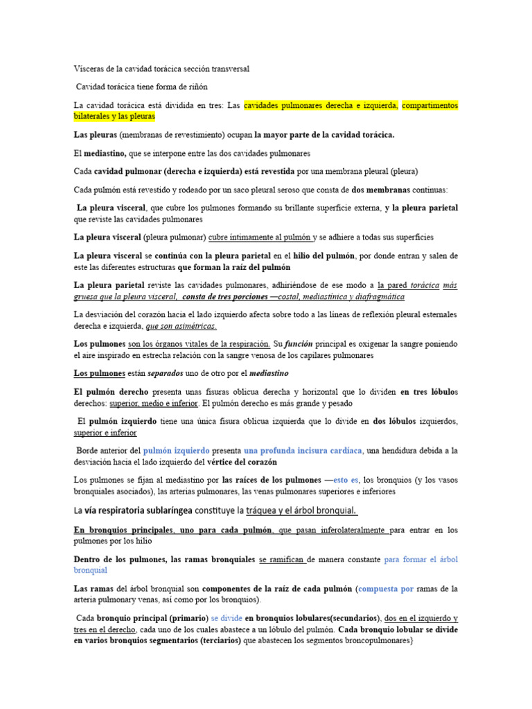 Repaso Anatomía Pdf