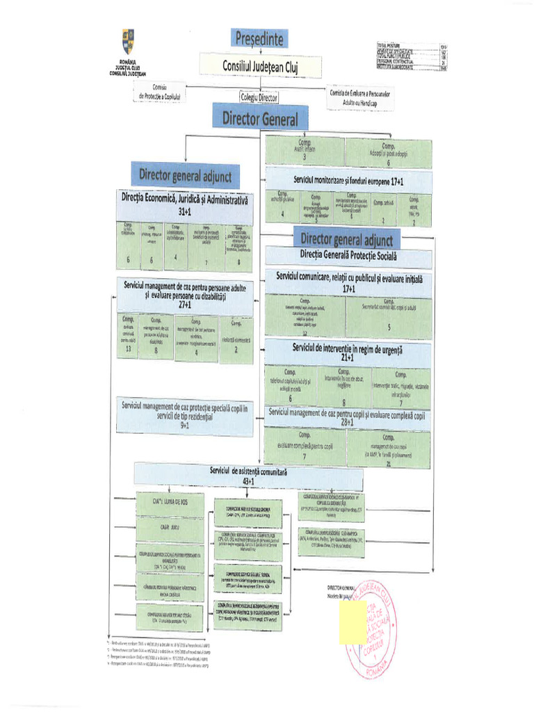 Dgaspc CJ Organigrama Actualizat | PDF