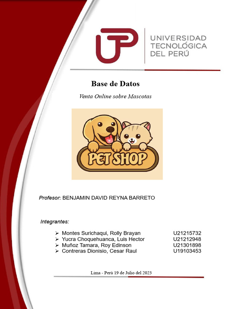 PROYECTO BASE DE DATOS Final | PDF | Business | Bases de datos