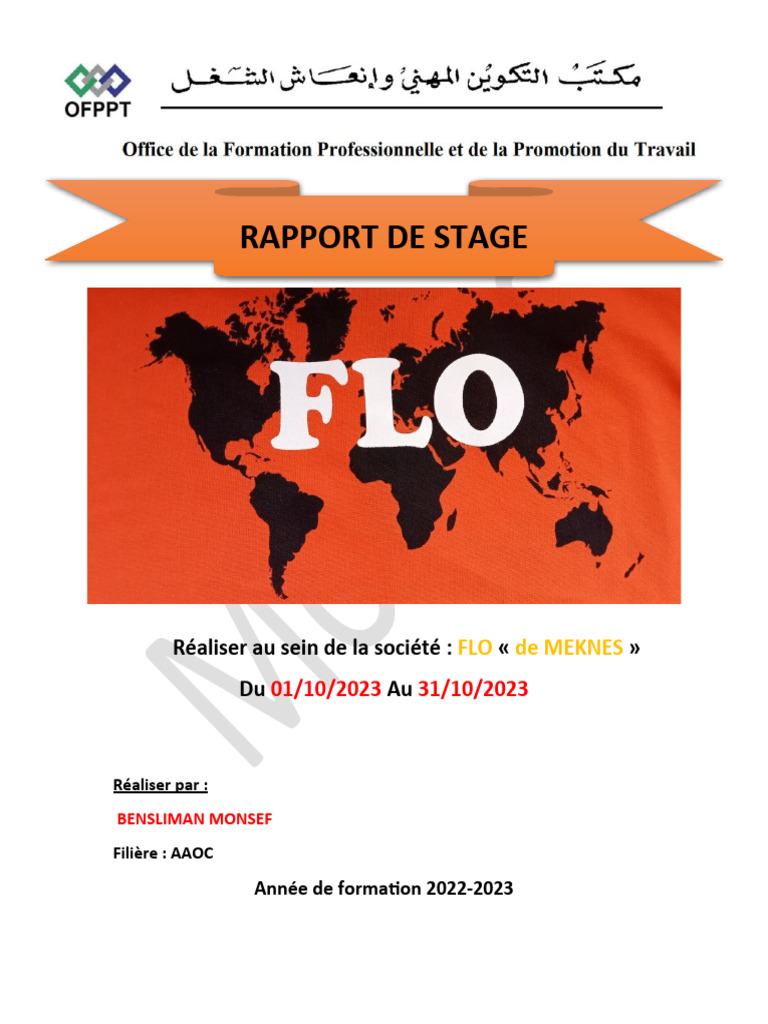 Rapport de Stage Flo | PDF