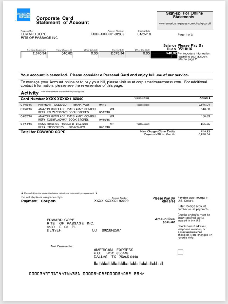 Amex Statement | PDF