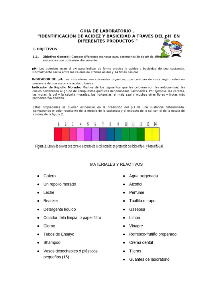Experimento de pH con Repollo Morado | PDF | Agua | Papel