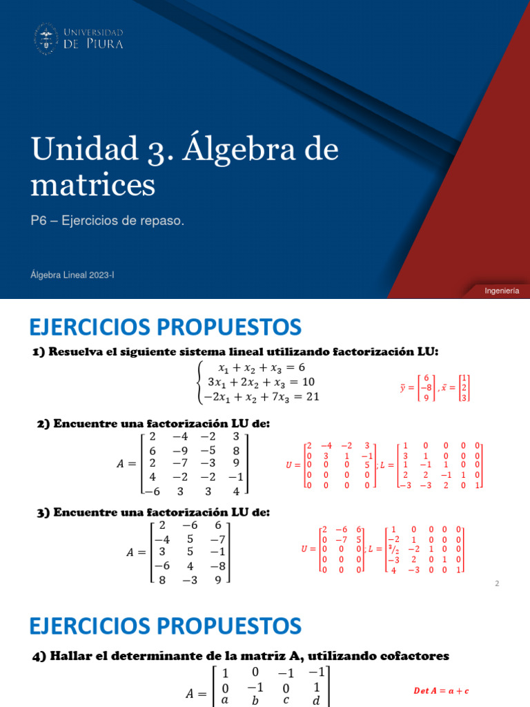 U3. Álgebra de Matrices (Ejercicios) | PDF