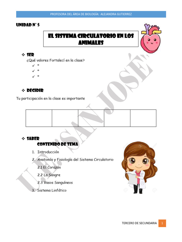 El Sistema Circulatorio en Los Animales | PDF | Corazón | Vena