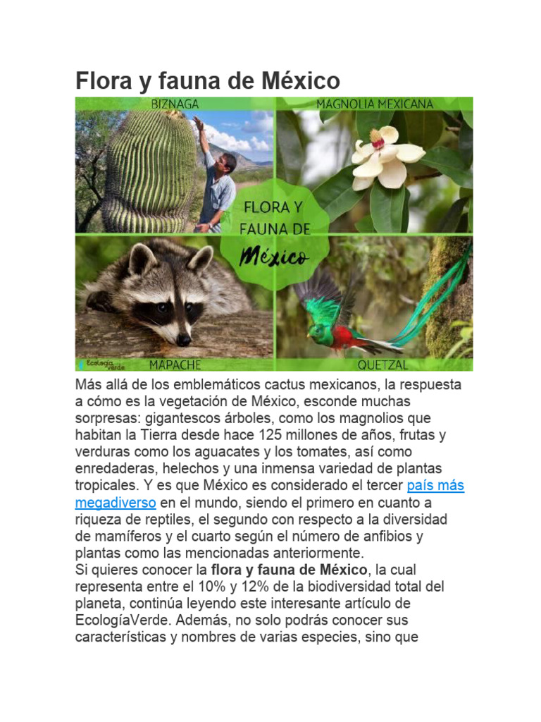 Biodiversidad de la Flora y Fauna Mexicana | PDF | Fauna | Selva