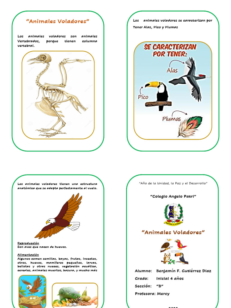Animales Voladores | PDF