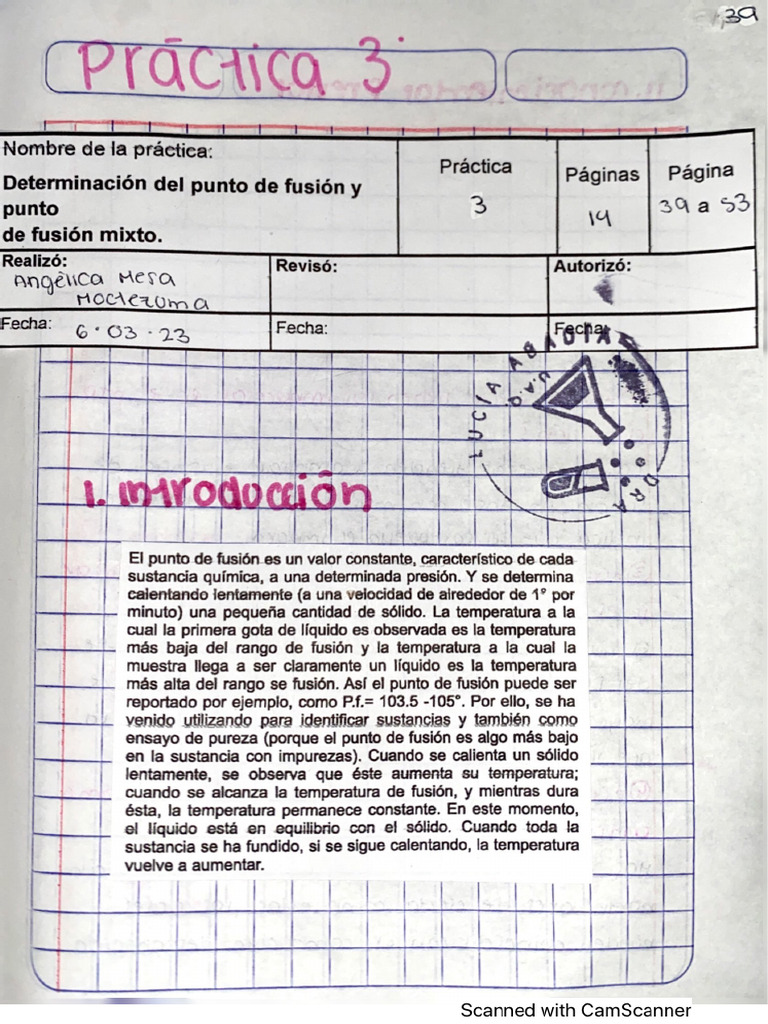 Angélica Mesa Moctezuma - Práctica 3 | PDF