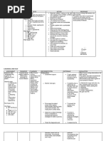 Nursing Care Plan and Fdar | PDF | Bleeding | Childbirth