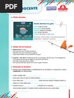 Capibara Matematico Primer Grado | PDF
