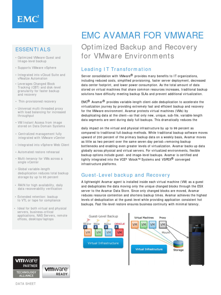 h2823 Avamar Vmware | PDF | Backup | Virtual Machine