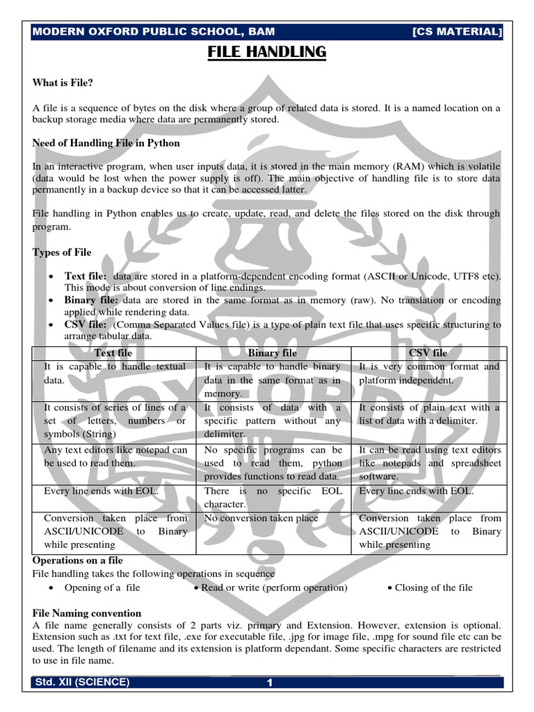 CS - File Handling | PDF