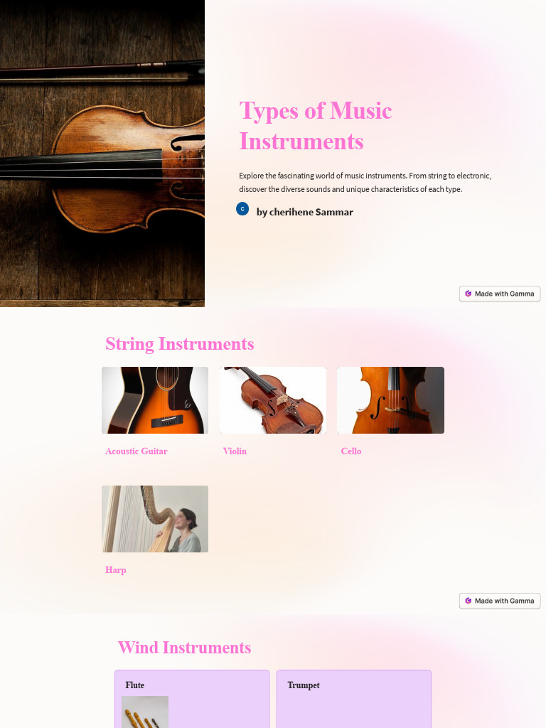 Types of Music Instruments | PDF