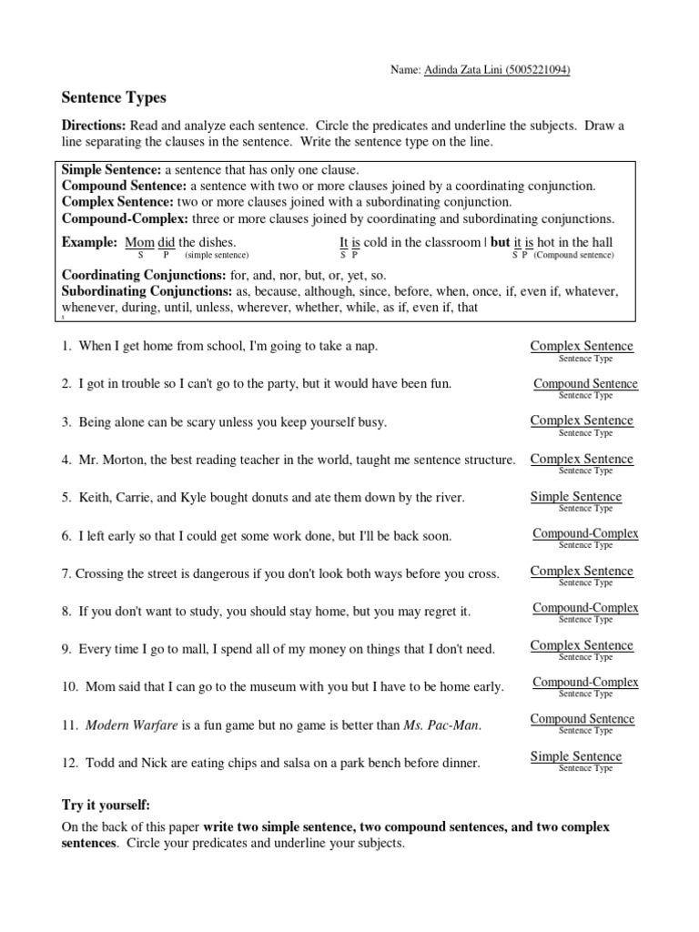 Sentence Structure Exercise | PDF