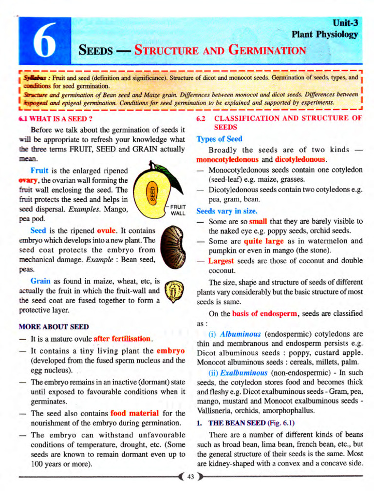 Icse Class 9 Biology Chapter 6 Seed Structure and Germination | PDF
