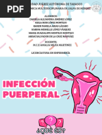 Puerperio Fisiologico, Inmediato, Mediato y Tardio | PDF | Periodo ...