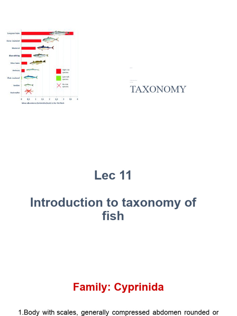 Lec 11 Taxonomy | PDF | Fish