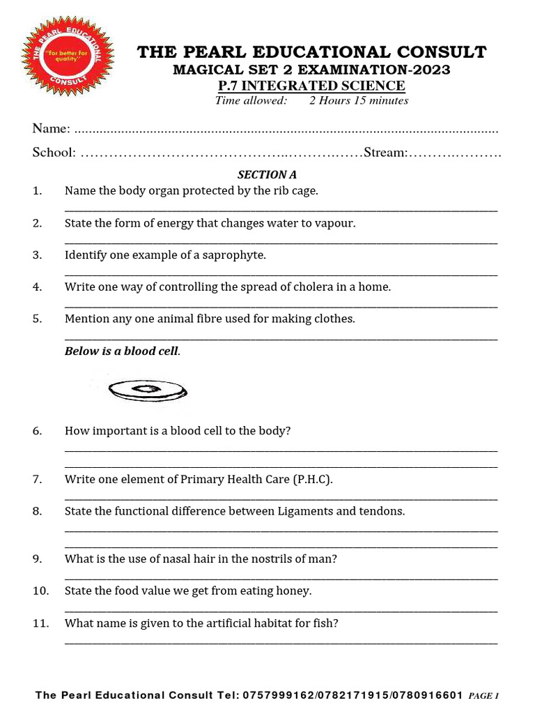 P7 Science Magical Set 2 | PDF | Senses | Immunity (Medical)