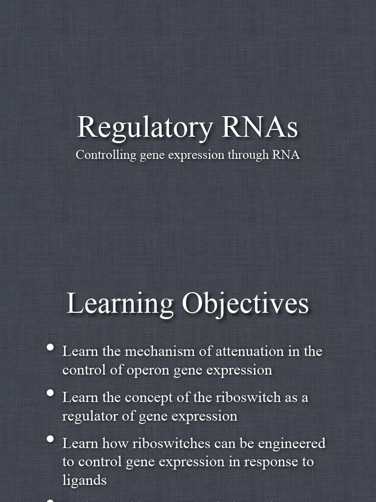 Lecture 15 Regulatory Rnas Pdf Rna Operon