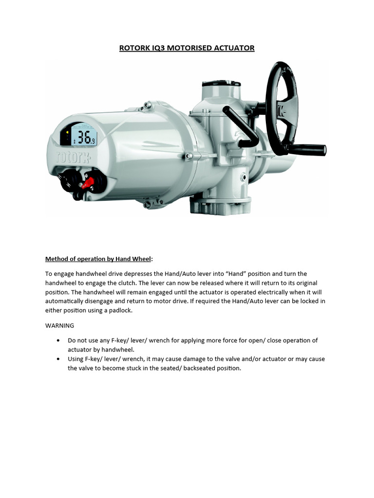 Actuator User Manual For Process Persons | PDF