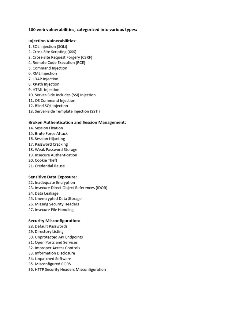 100 Vulnerabilities | PDF