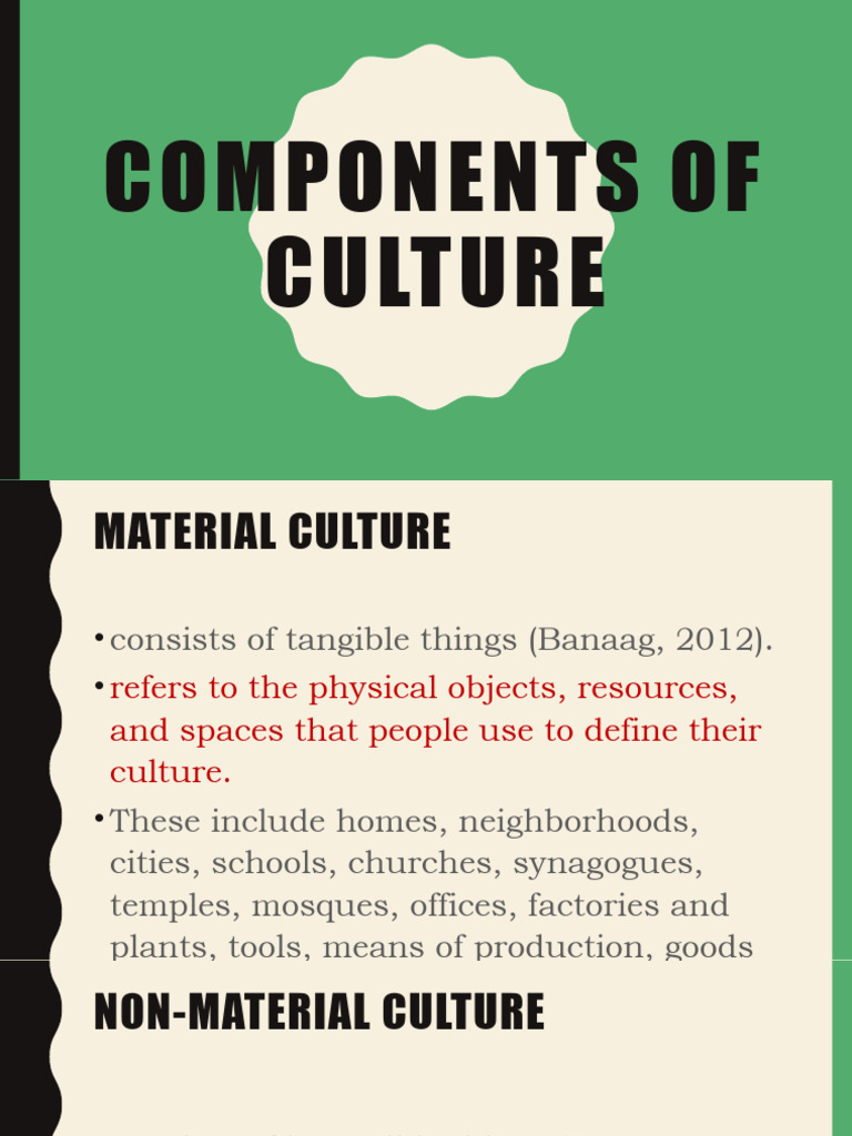 Components of Culture | PDF