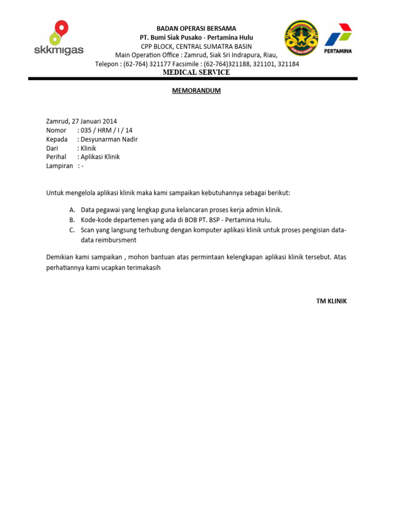 Permintaan Data Aplikasi Klinik BOB | PDF