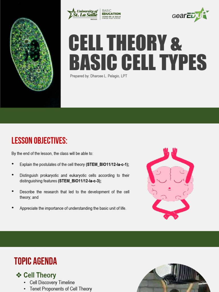 W2 - Cell Theory and Basic Cell Types | PDF