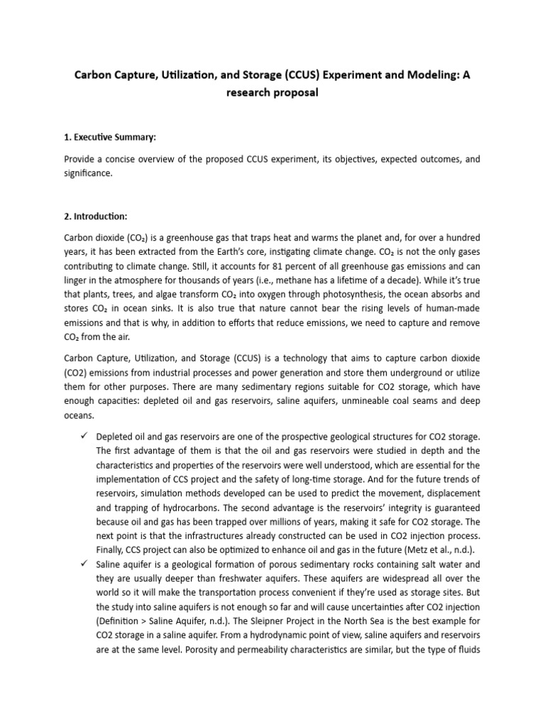 CCUS Proposal | PDF