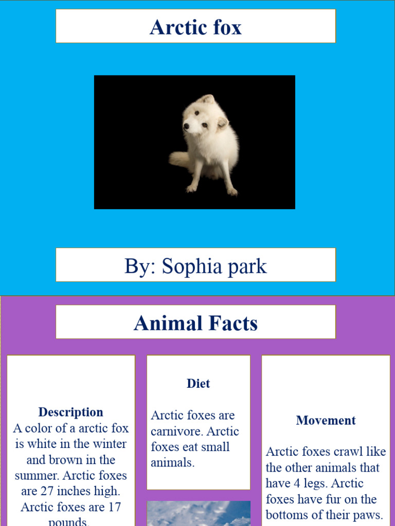 Artic Fox | PDF