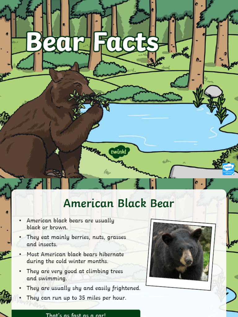 Facts About Bears PowerPoint | PDF