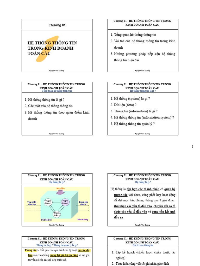 CHG 01 - HTTT Trong Kinh Doanh Toan Cau (Compatibility Mode) | PDF