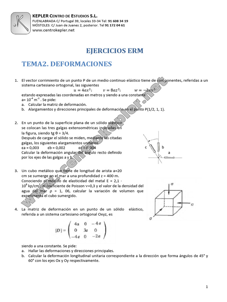 Ejercicios Erm | PDF