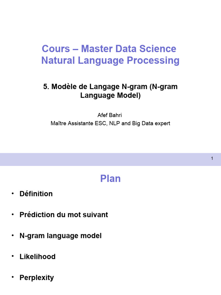 Chapitre 5 Language Model | PDF