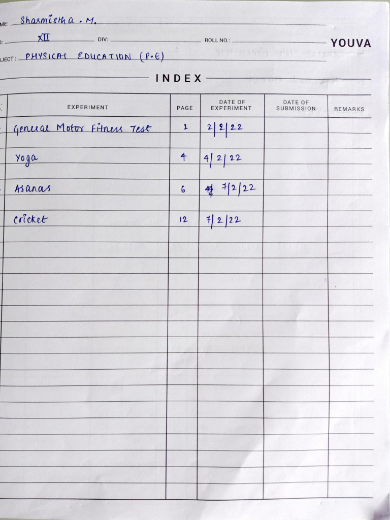 Sample of PE Project | PDF
