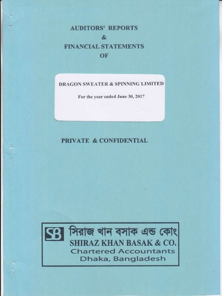 Audit Report DSSL-2017 | PDF